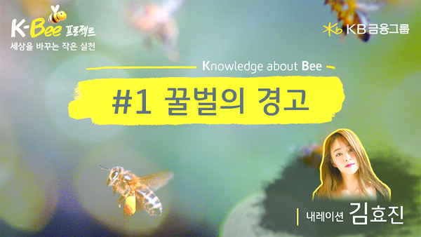 KB금융, '다우존스(DJSI)' 8년 연속 월드지수 편입